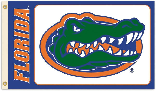 BSI NCAA 3 X 5 Foot Flag with Grommets – Fantasia Inc.